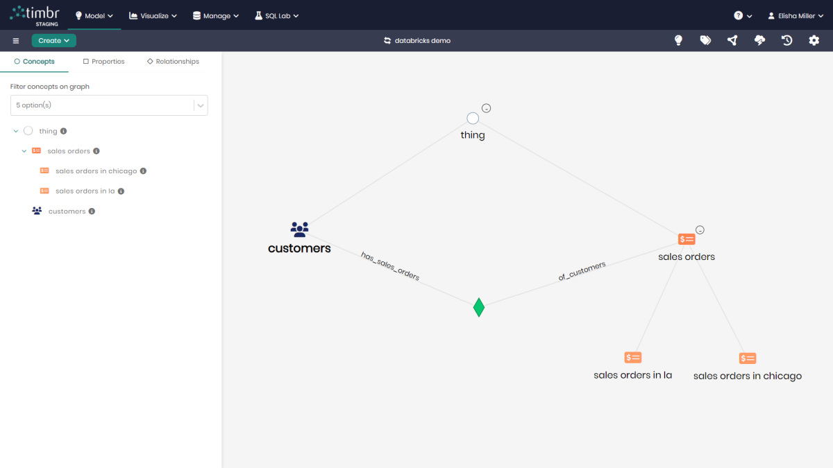 Use Databricks Notebook To Model An Intelligent Semantic Layer Timbrai